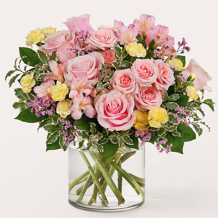 Roses flowers in Charlotte, NC | Roseland Floral Co Inc – Local Flower ...